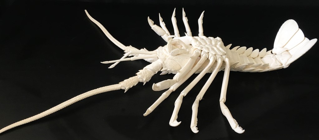 Lobster Bone Carving, Lobsters, Crayfish Art Sculpture